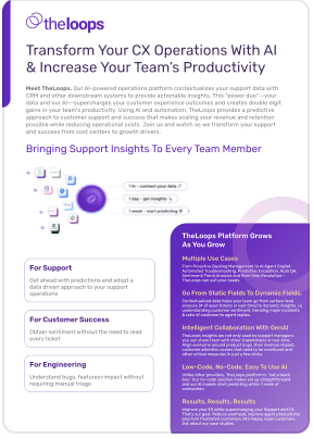 TheLoops AI-Driven CX Operations Platform Overview - TheLoops ...